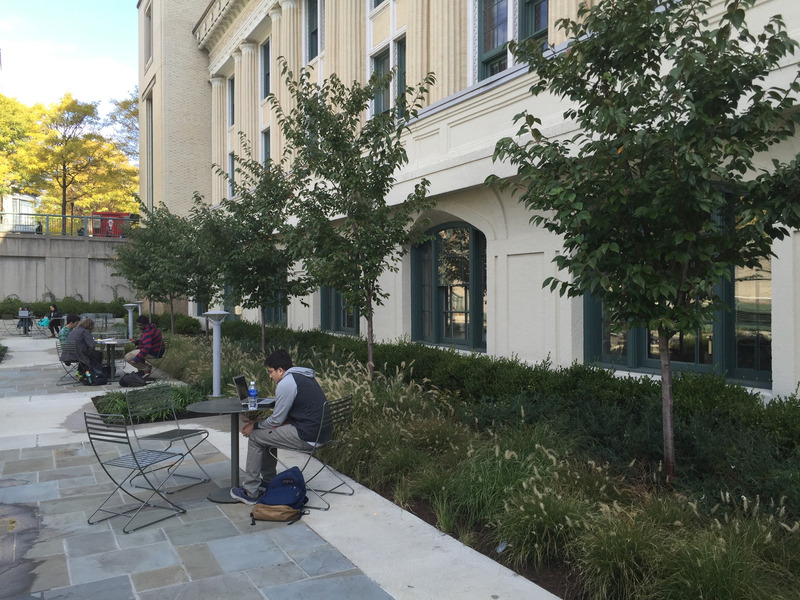 Educational Institutions - TerraGreen | Sustainable Landscape Solutions